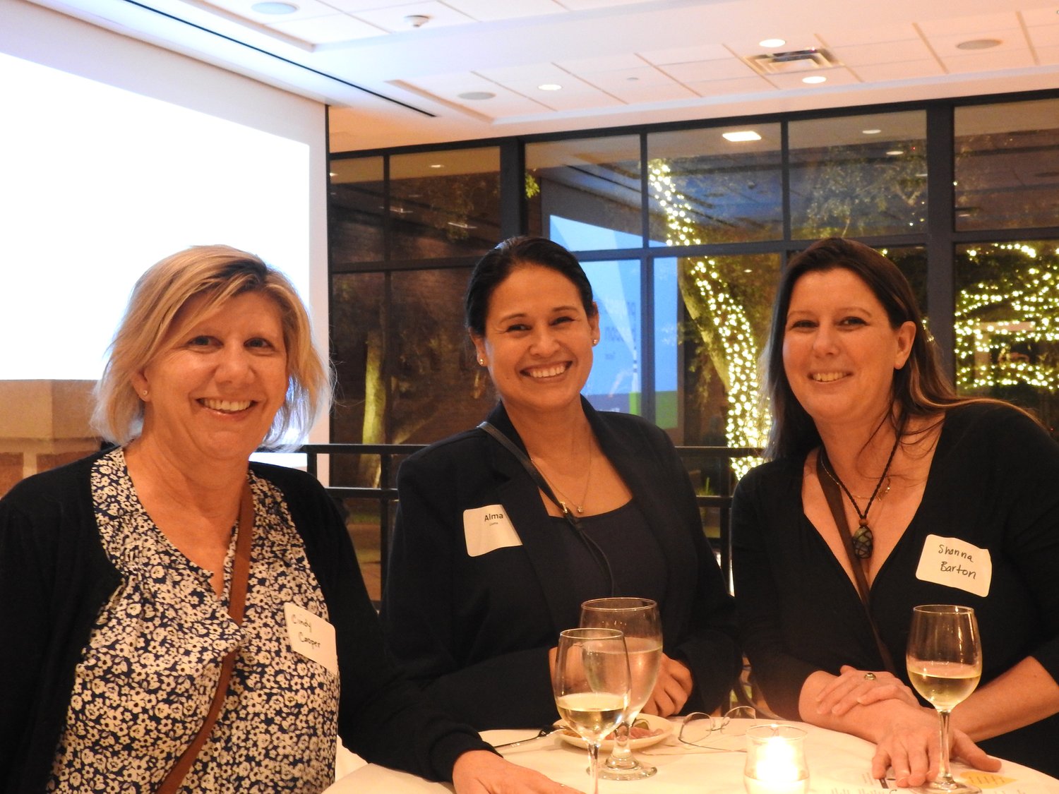 Project Beacon 2024 Programs & Strategic Vision - Project Beacon