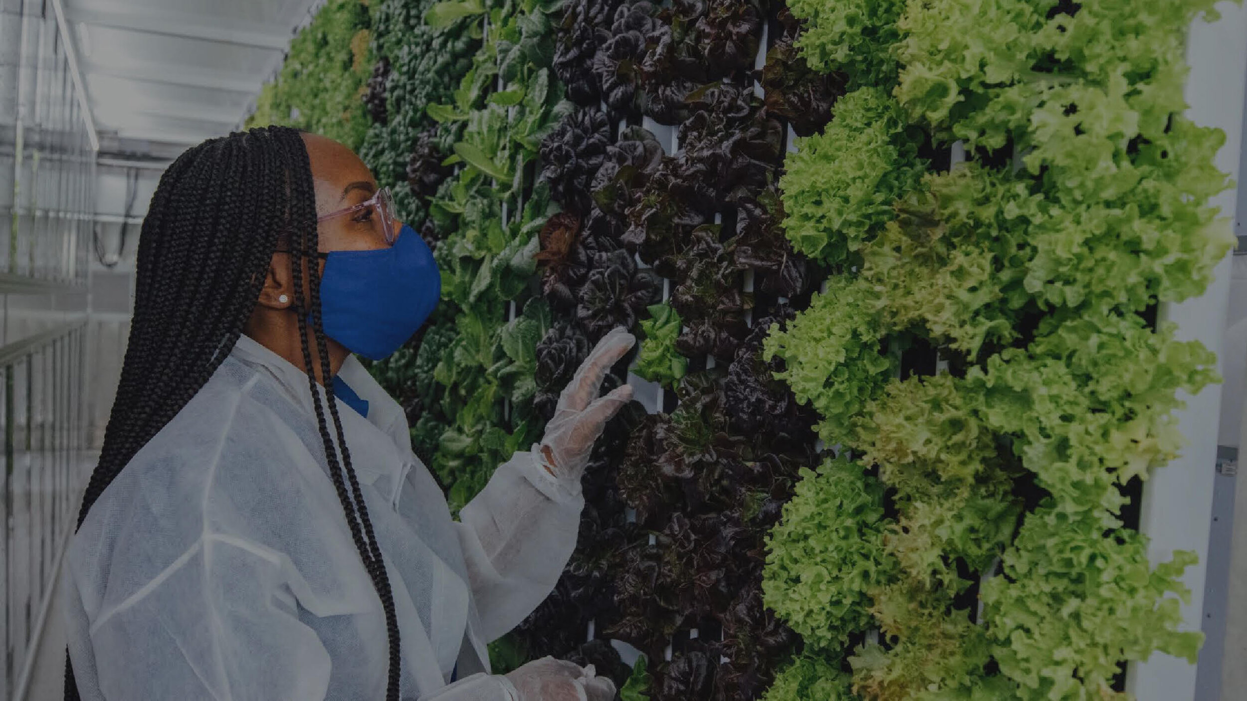 Work, Work, Work - Project Beacon